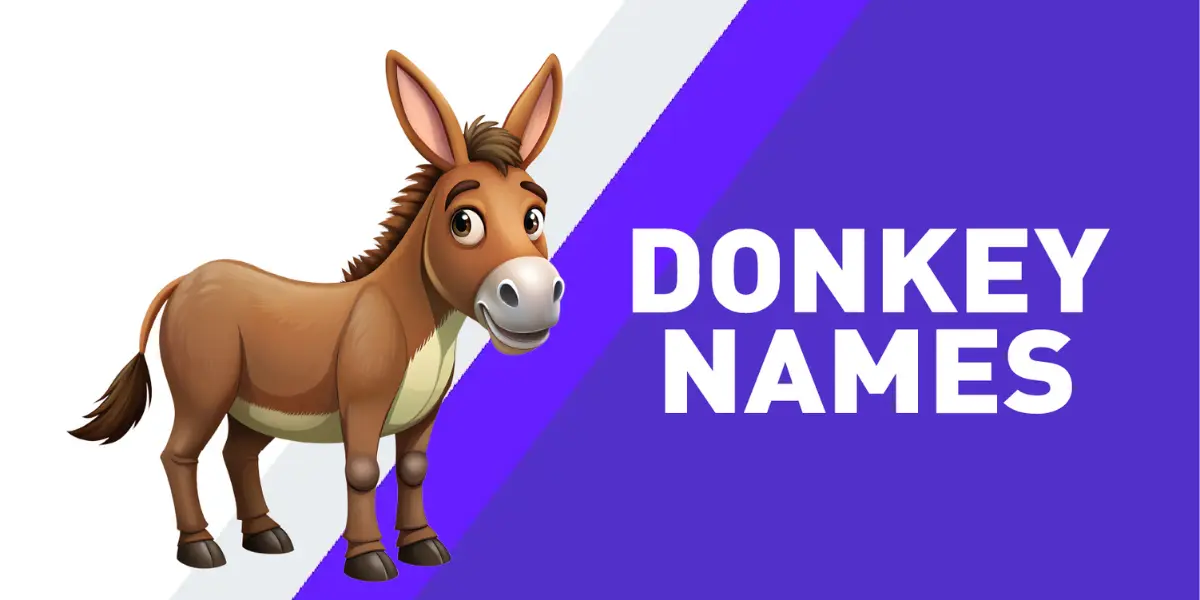 400+ Cute & Funny Donkey Names for Your Pet Donkey.